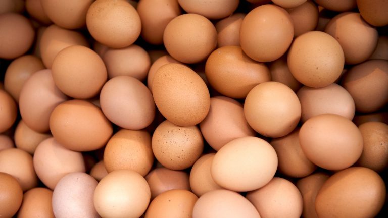 Eggs - Sight Research UK