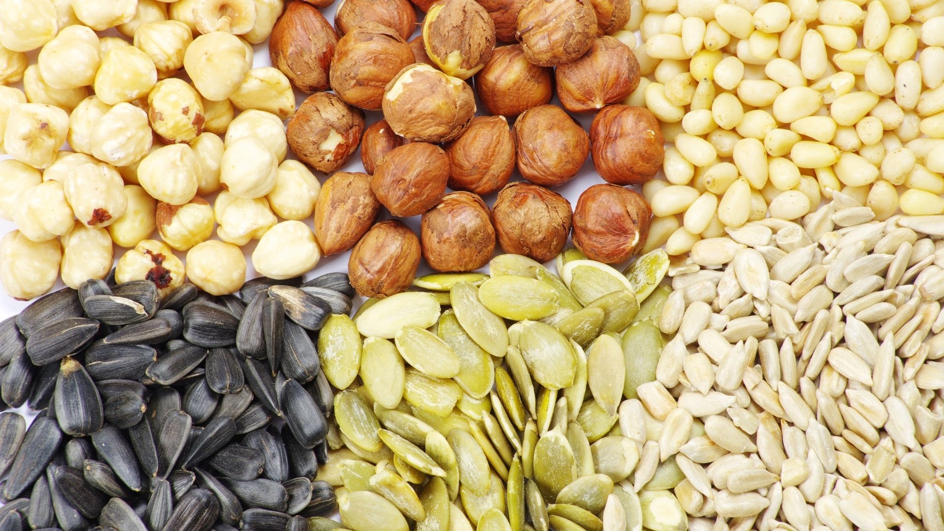 Seeds - Sight Research UK