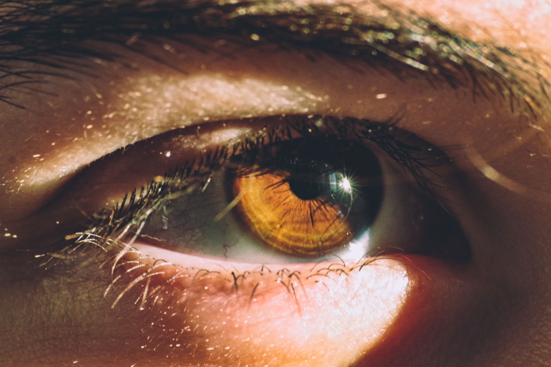 Could a point-of-care test diagnose a dangerous fungal eye infection ...